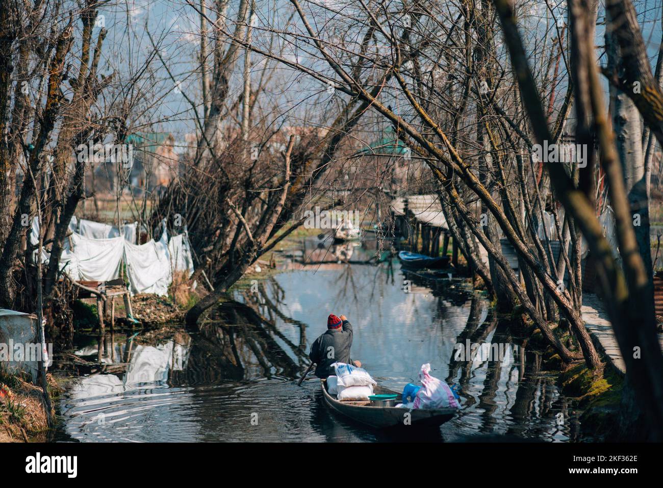 An aerial view of Dal lake with boats surrounded by trees Stock Photo ...