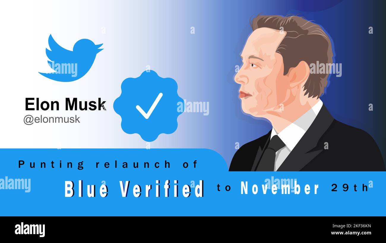 Illustration of Elon Musk's tweet. November 16, 2022, Elon Musk posted ...
