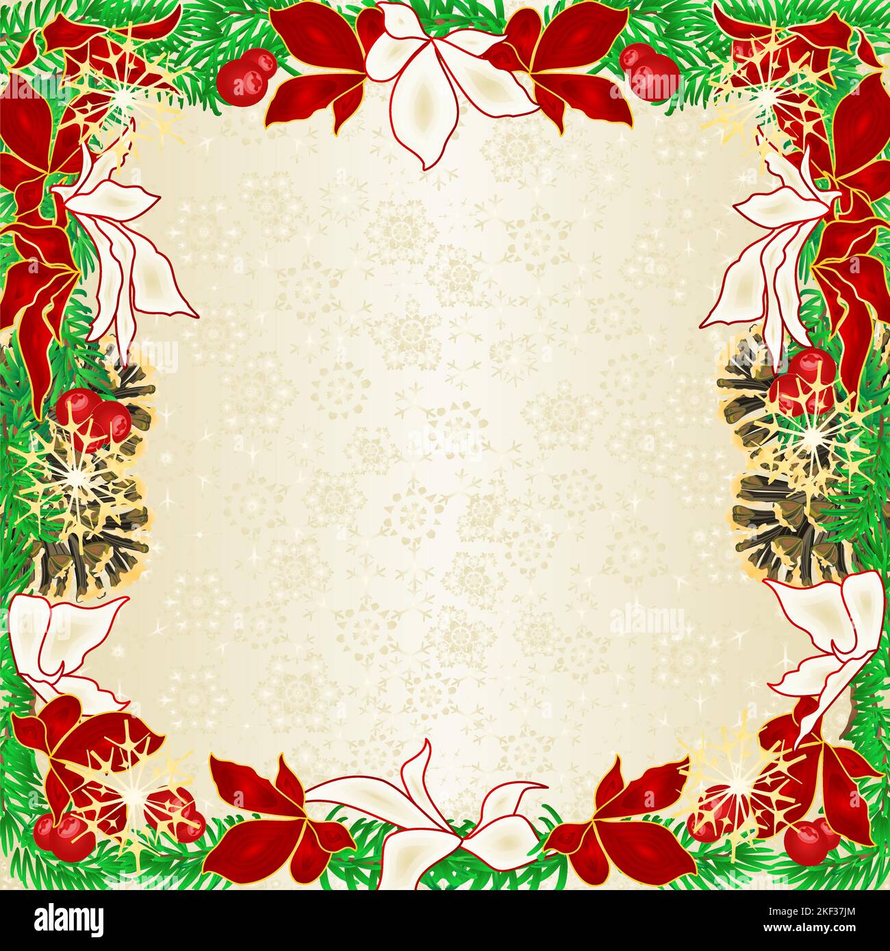 Christmas and New Year frame decoration red and white poinsettia spruce ...