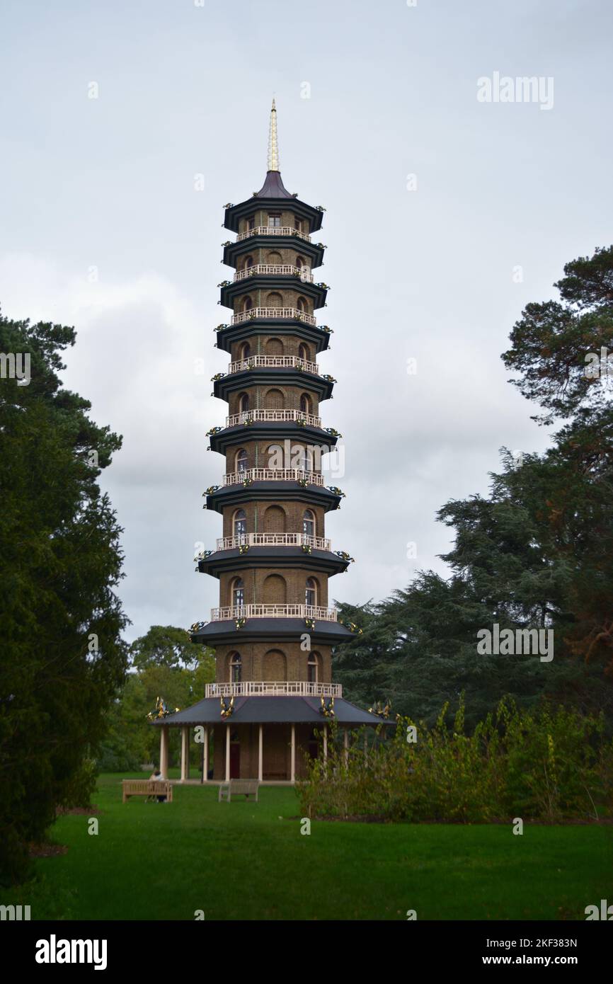 Tall japanese pagoda tree hi-res stock photography and images - Alamy