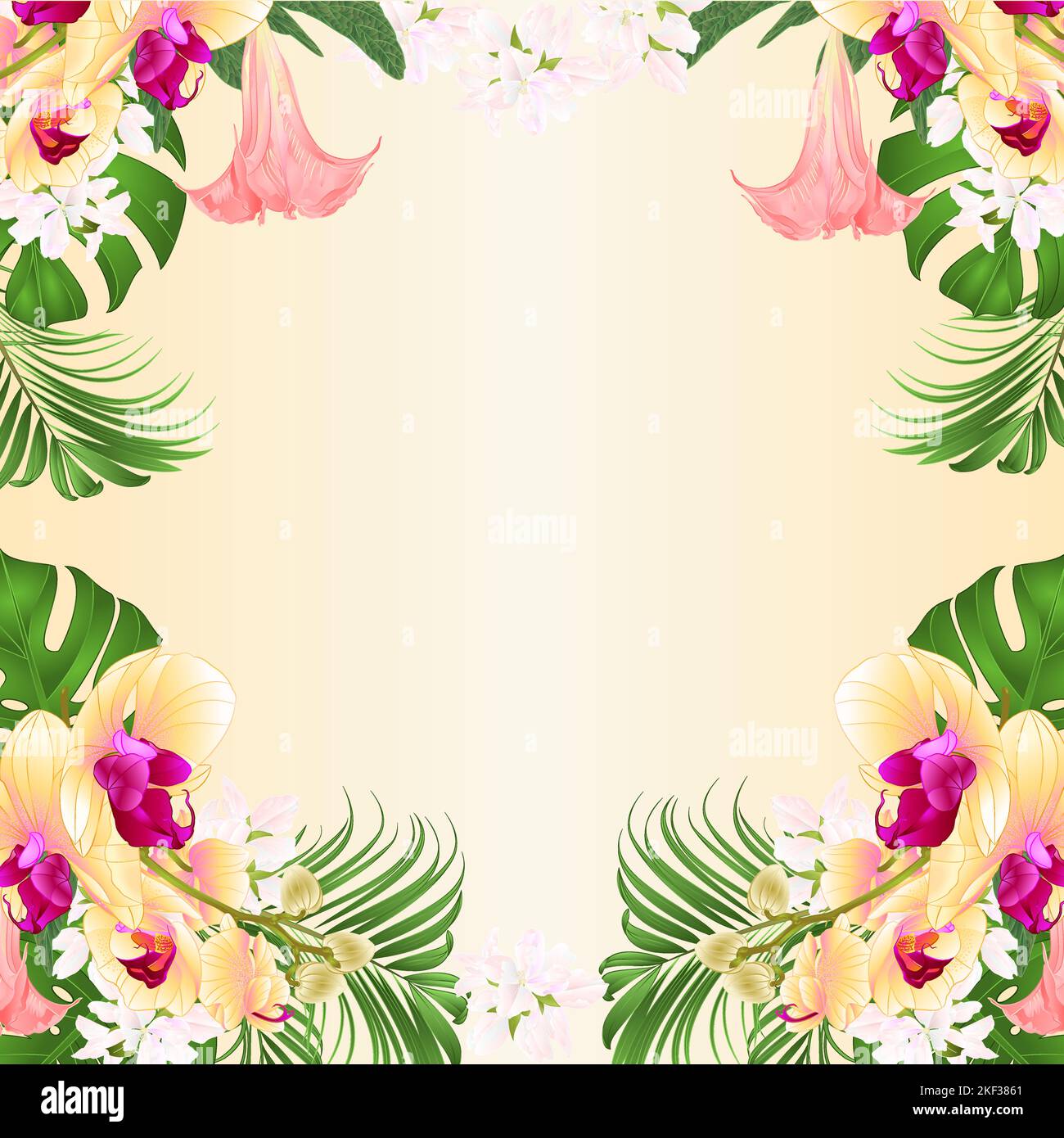 Floral frame background witht ropical flowers floral arrangement, with ...