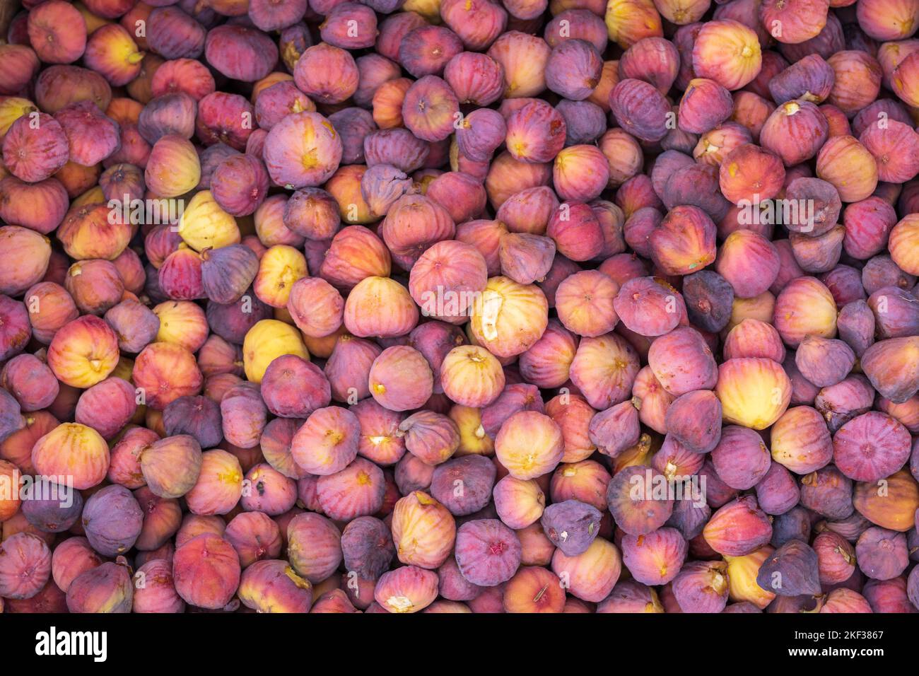 Small orange fruit on fig hi-res stock photography and images - Alamy