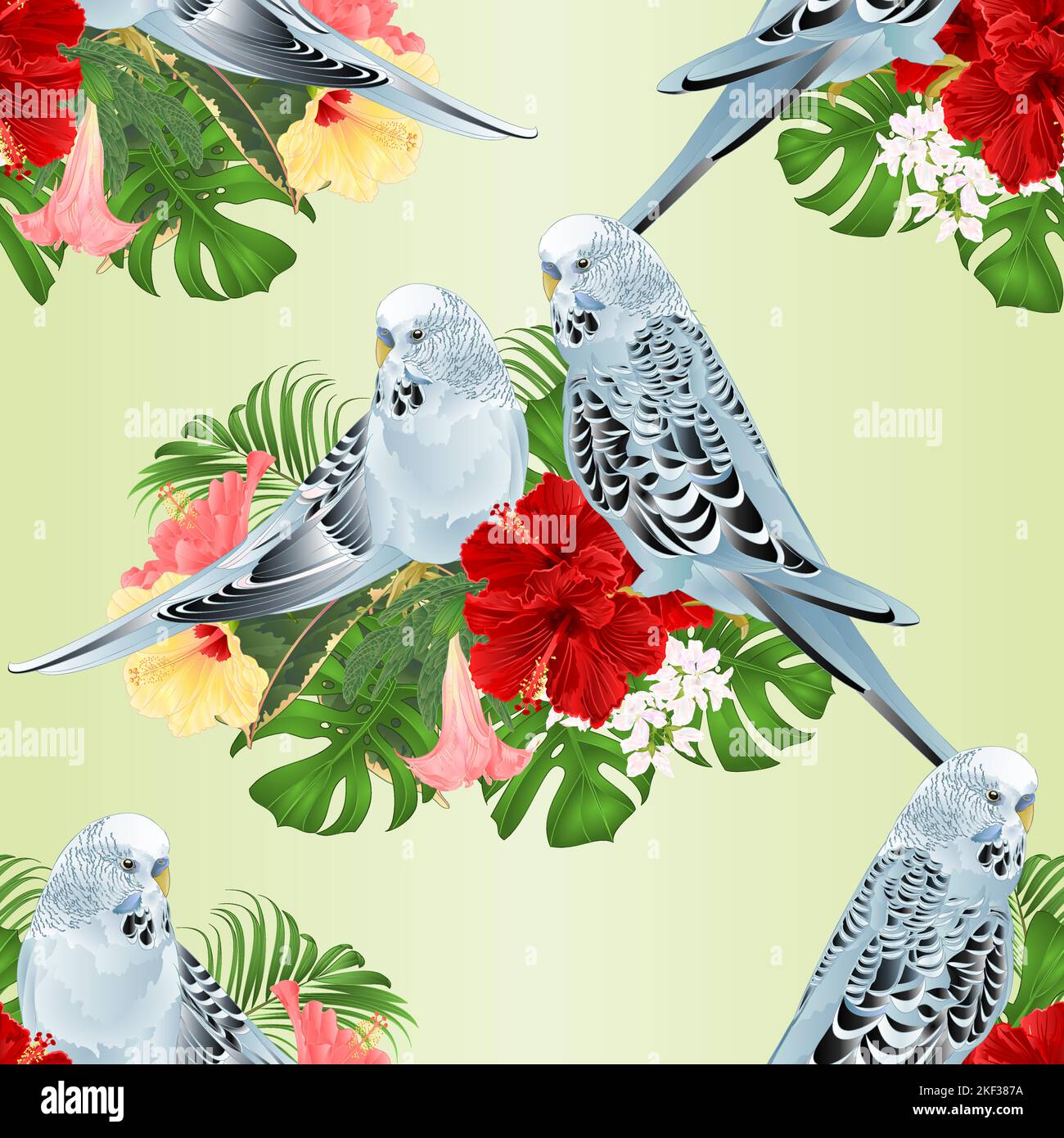 Seamless texture Budgerigars home pets blue pets parakeet on a bouquet ...