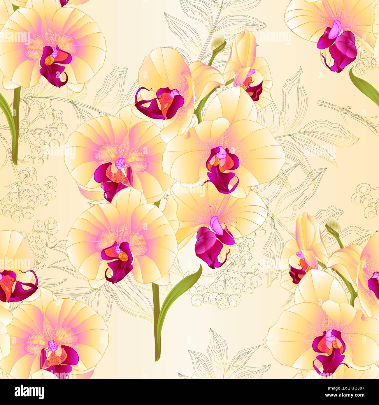 Seamless Texture Branch Orchid Phalaenopsis Yellow Flowers And Leaves