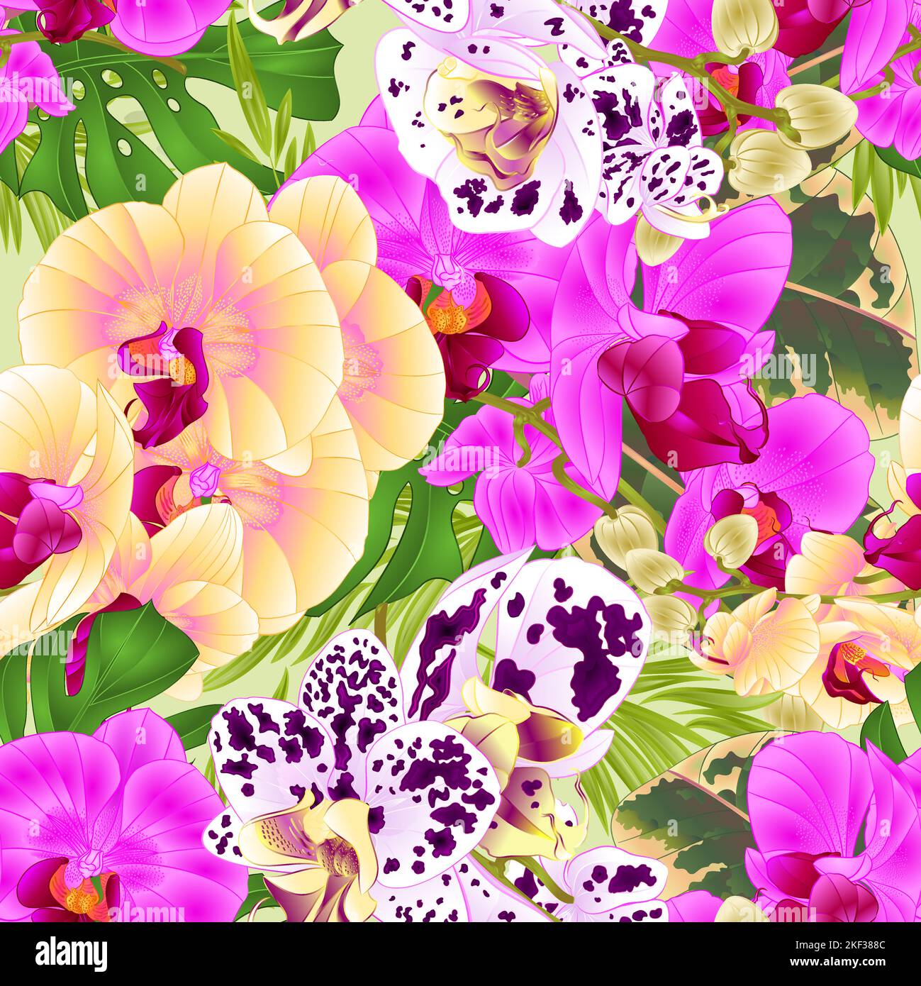 Seamless Texture Stem Orchids Yellow Lila Spotted Flowers Phalaenopsis