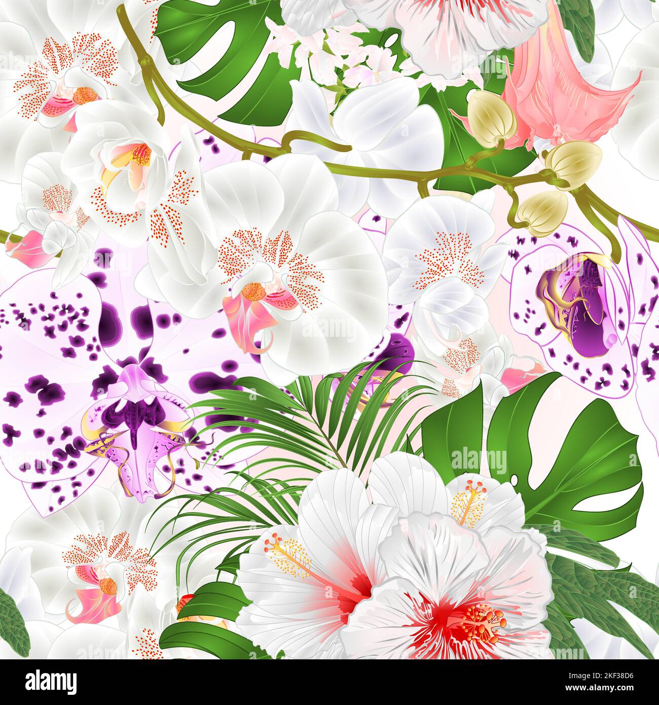 Seamless Texture Branch Orchids Flowers Phalaenopsis Tropical Plant