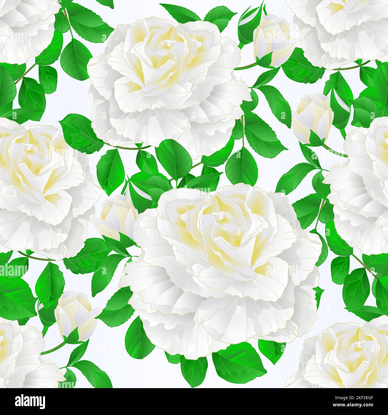 Seamless texture white Rose and leaves with buds vintage festive background vector botanical ...