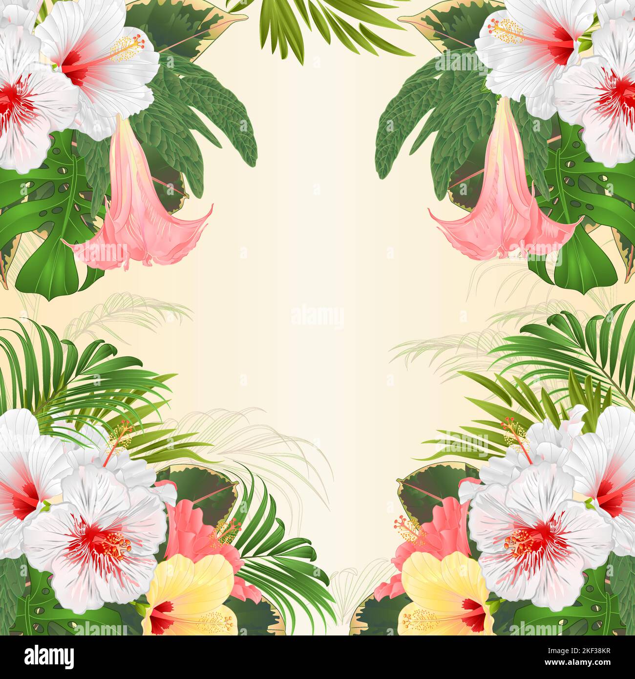 Frame tropical flowers floral arrangement, with pink yellow and white ...