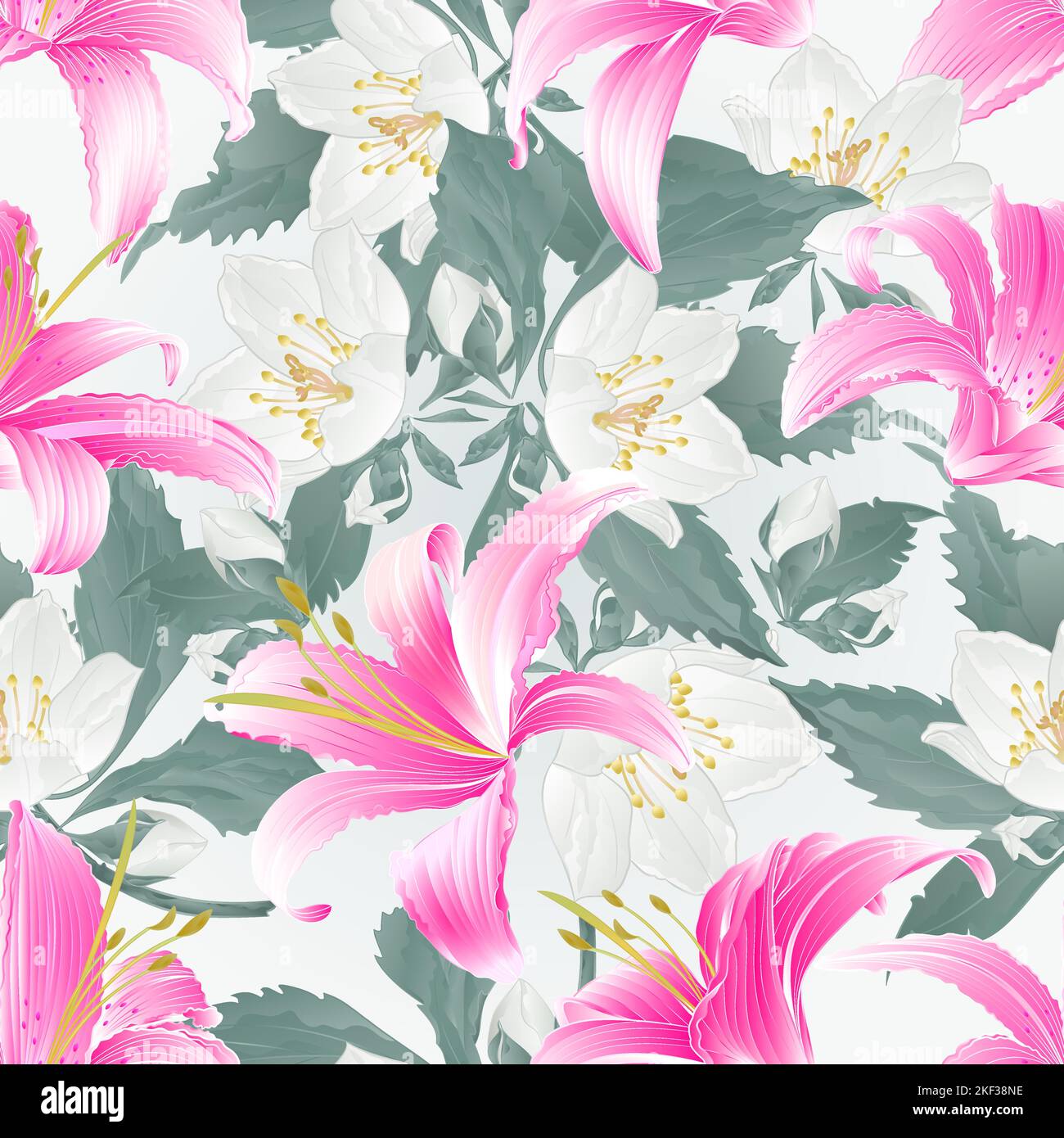 Lilie leaves Stock Vector Images - Alamy