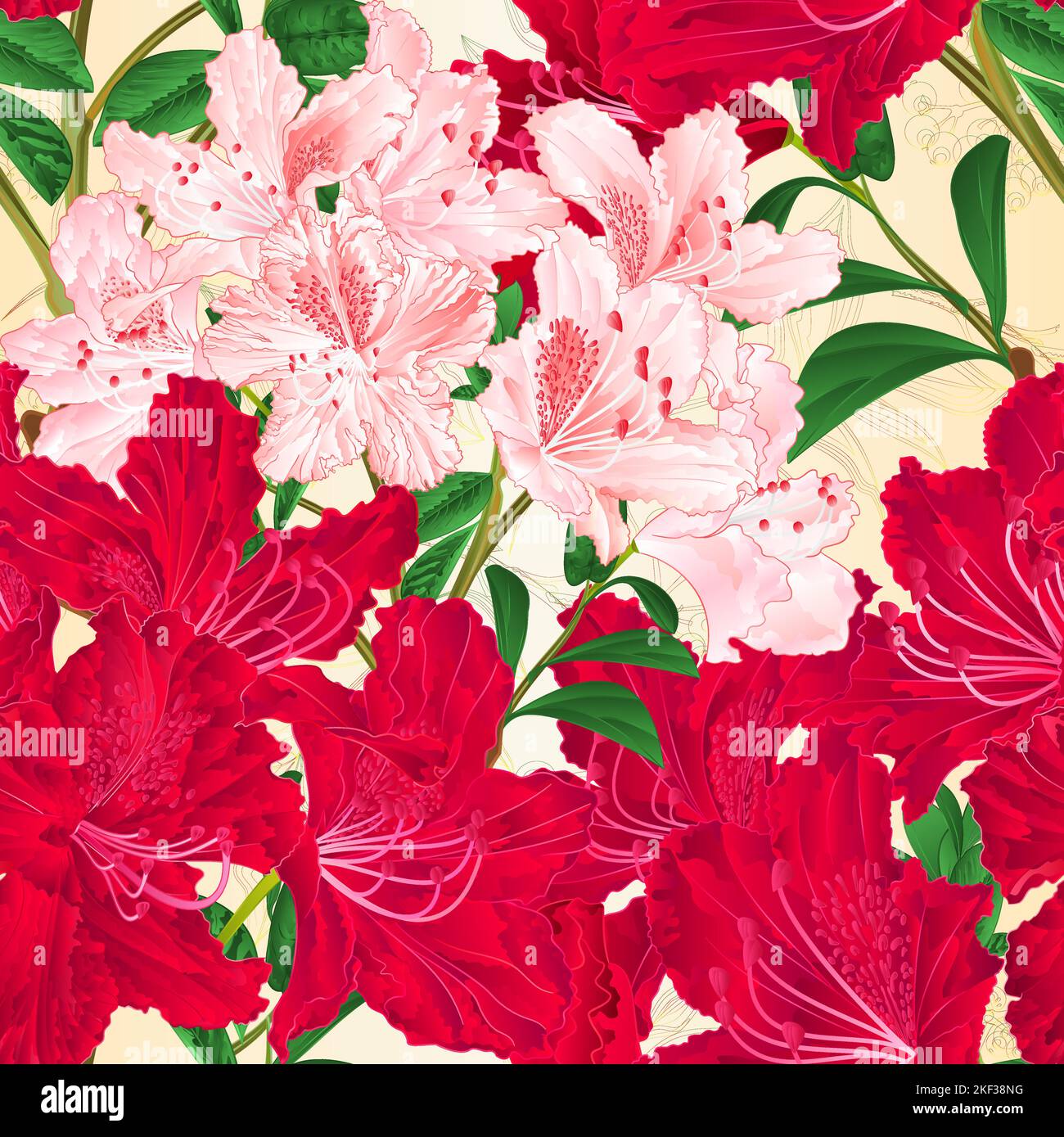 Red azalea white background Stock Vector Images - Alamy