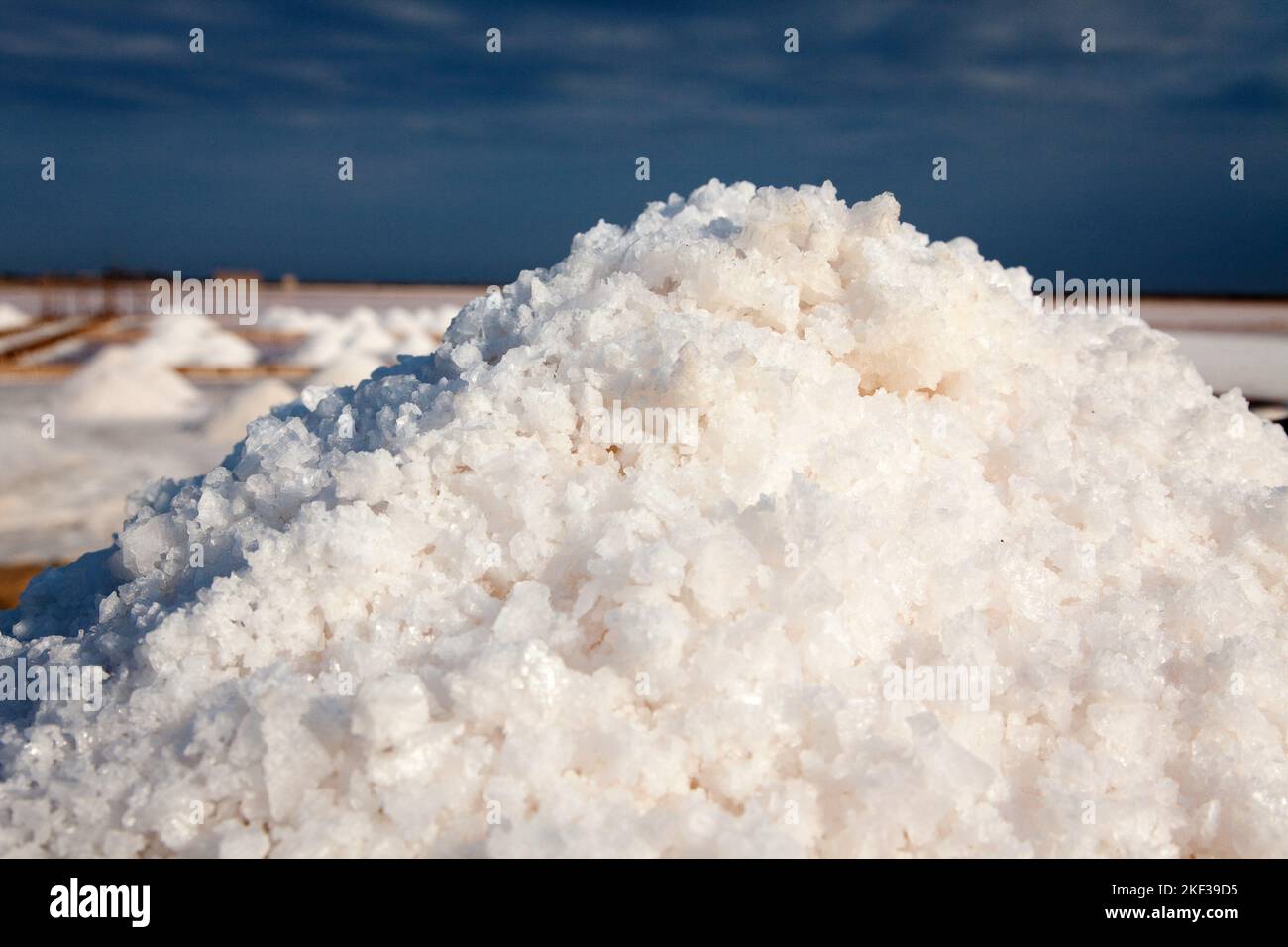 France. Aude (11) Gruissan. The salt marshes of the island of St Martin ...