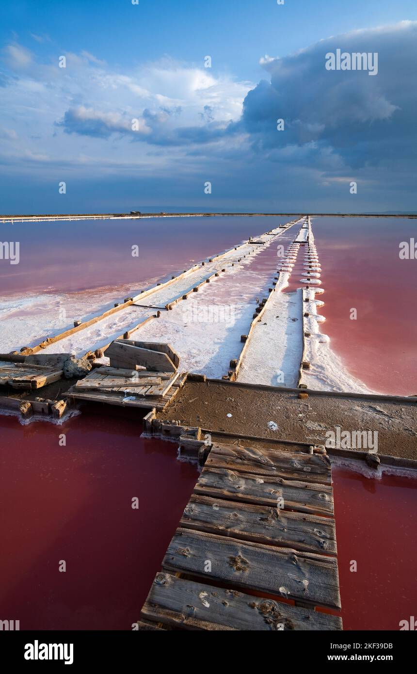France. Aude (11) Gruissan. The salt marshes of the island of St Martin ...