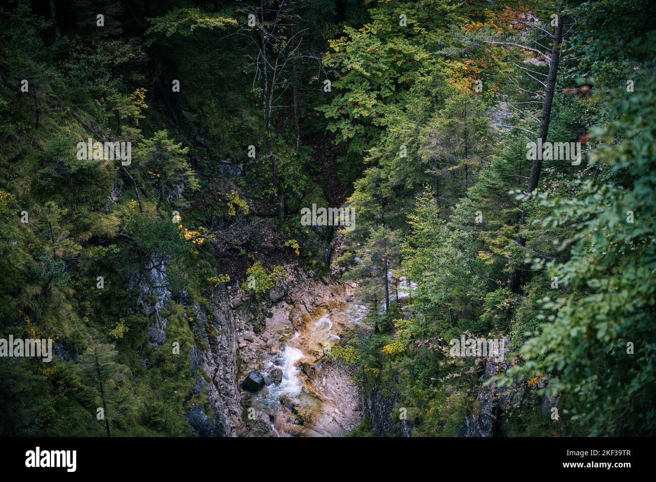 An aerial view of a stream flowing through lush green forests in ...