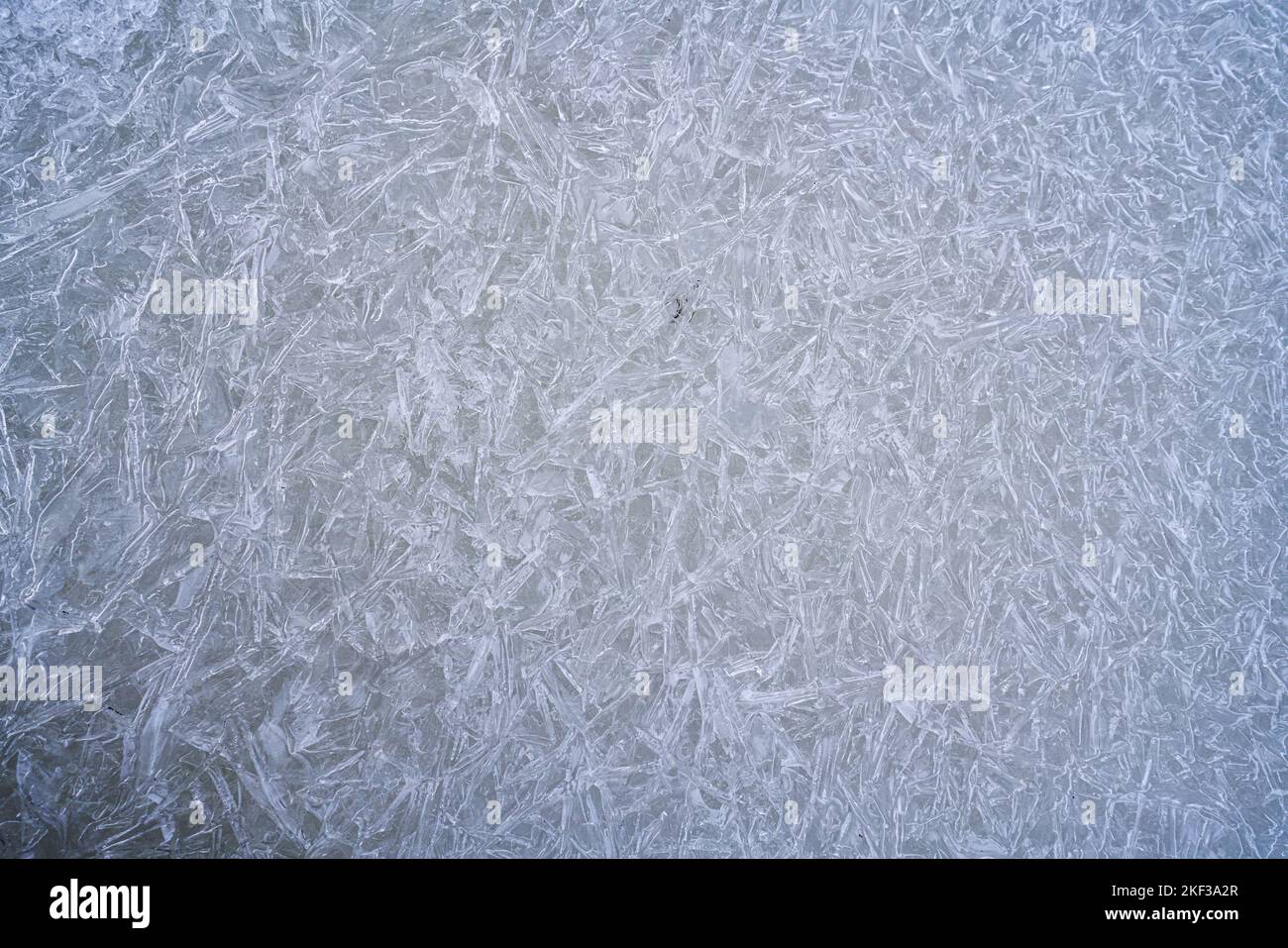 Fresh ice surface texture. Winter background with frozen snowflakes and ...