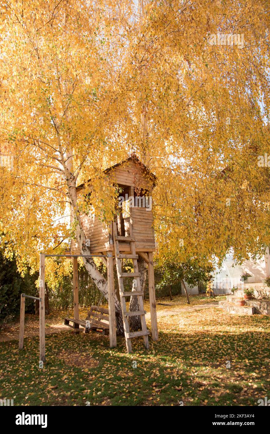 Front yard,Tree house in the fall - surrounded by yellow leaves Stock ...