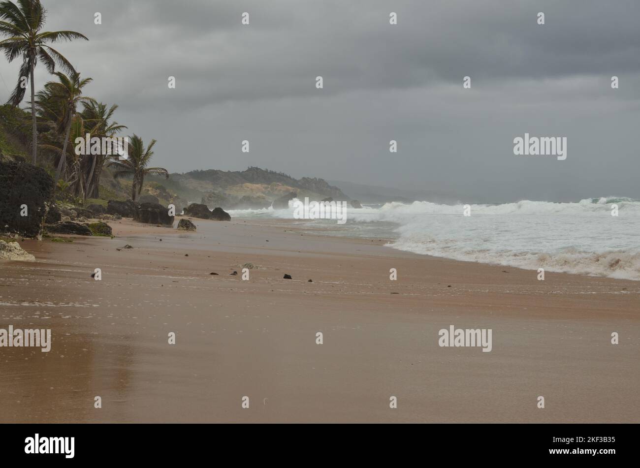 Caribic Caribbien Coast Hurricane storm Wind beauty tropical storm ...