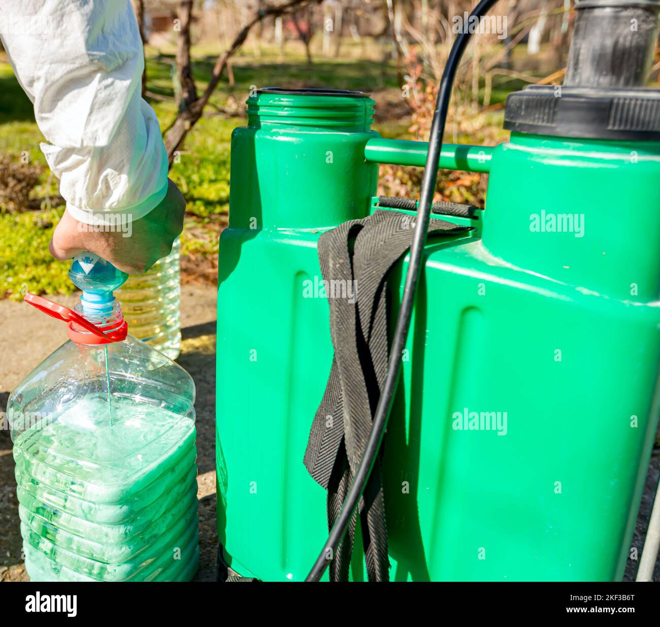 Farmer is preparing mixture of water and botanical solutions of ...