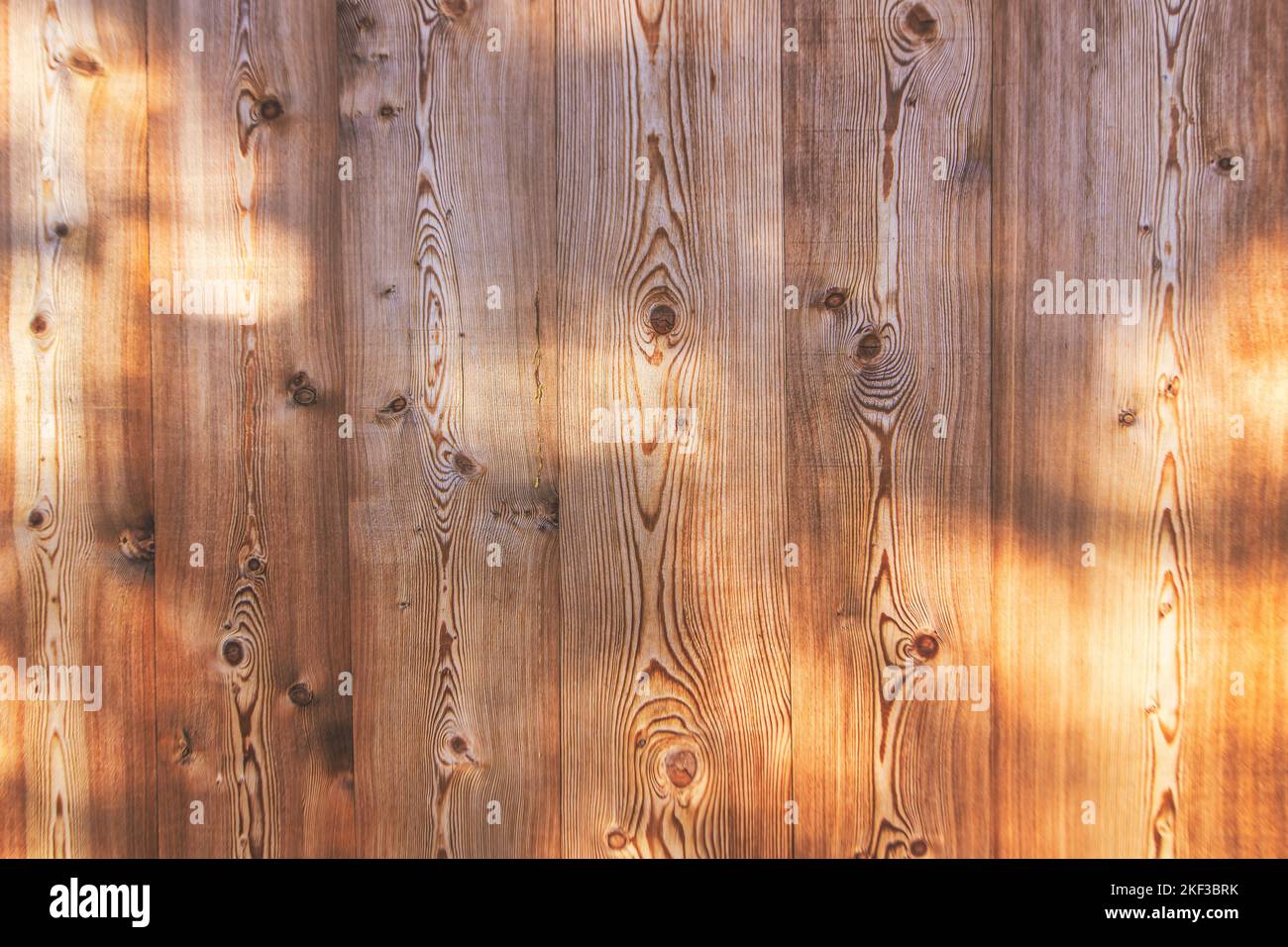 Background of aged larch wood planks Stock Photo - Alamy