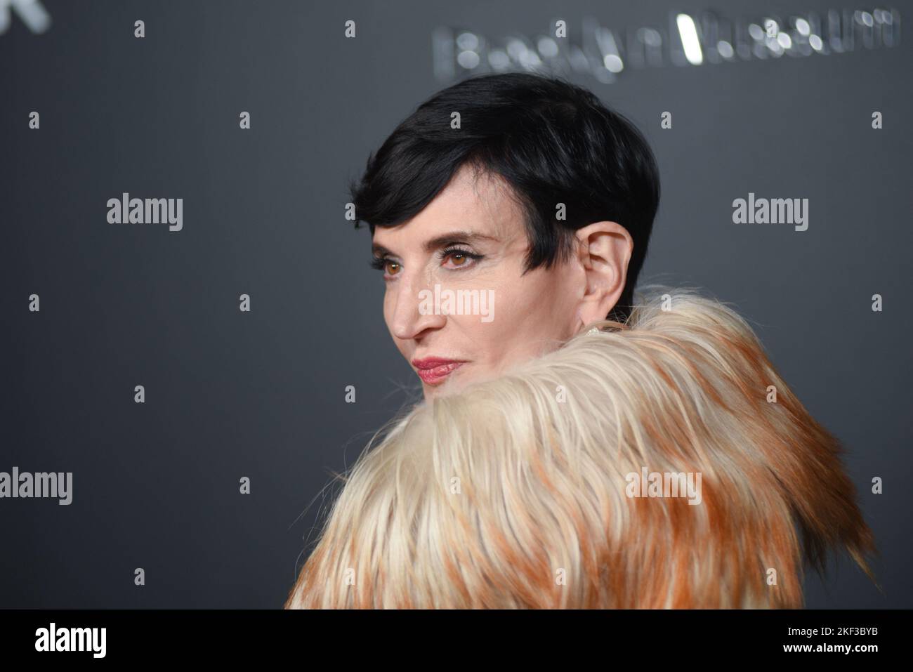 New York, USA. 15th Nov, 2022. Amy Fine Collins walking the red carpet ...