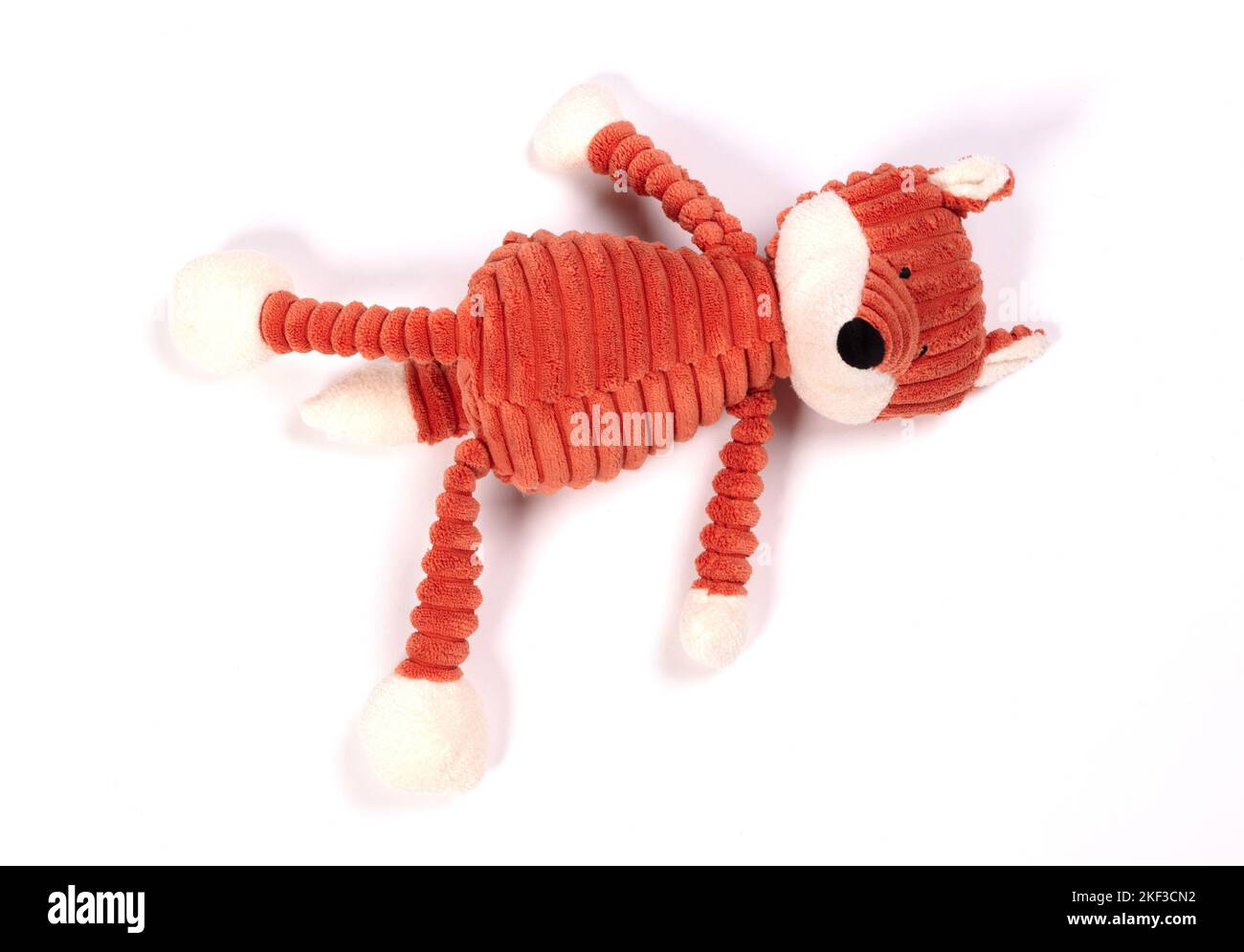 Orange white fox Cut Out Stock Images & Pictures - Alamy