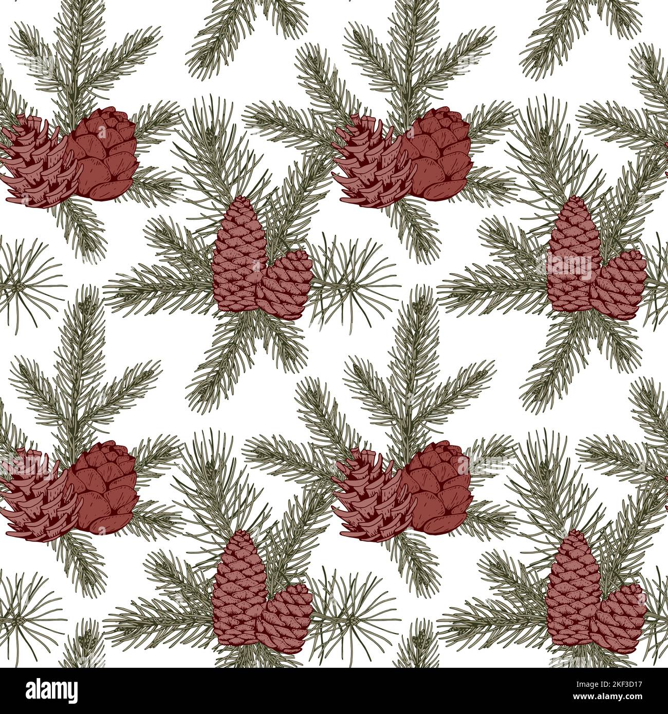 Seamless pattern fir cone Stock Vector Images - Alamy