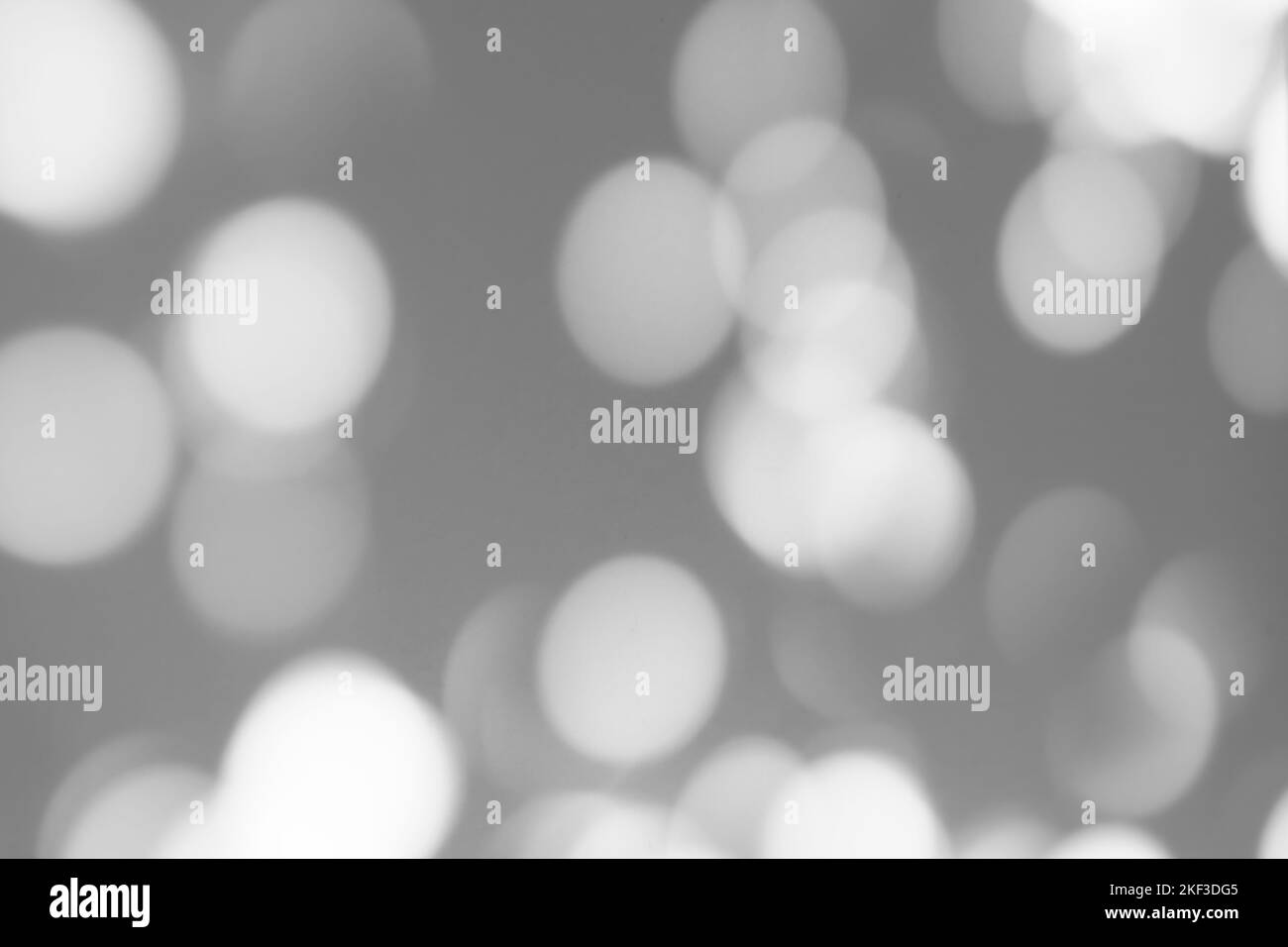 Shadow overlay effect for photo. Shadows from tree leaves and tropical ...