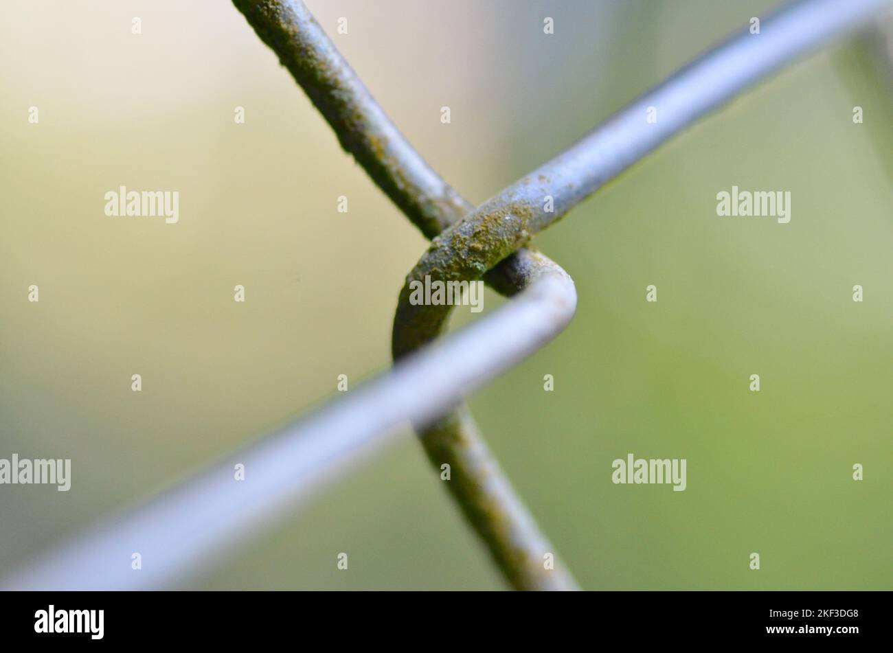 chain-link mesh lattice fence mesh Wire detail Stock Photo - Alamy