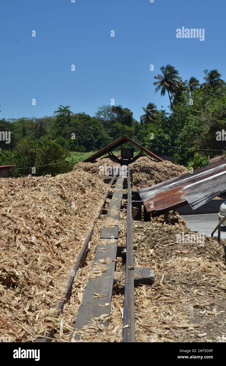 Caribic sugar cane rum production curacao island Stock Photo - Alamy