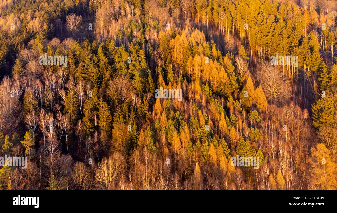 Aerial view dry land forest hi-res stock photography and images - Alamy