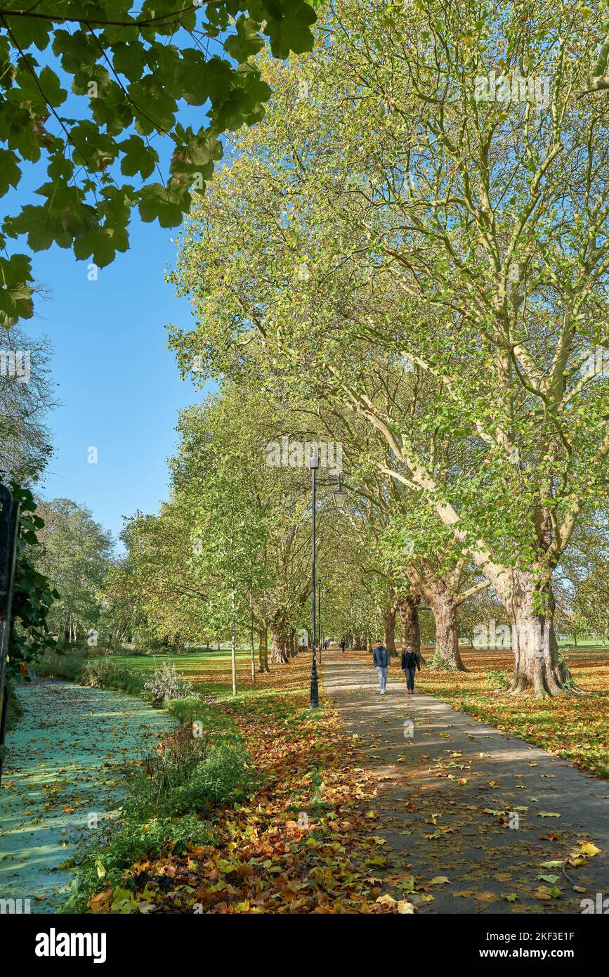 Jesus green open space cambridge england path trees park colours hi-res ...