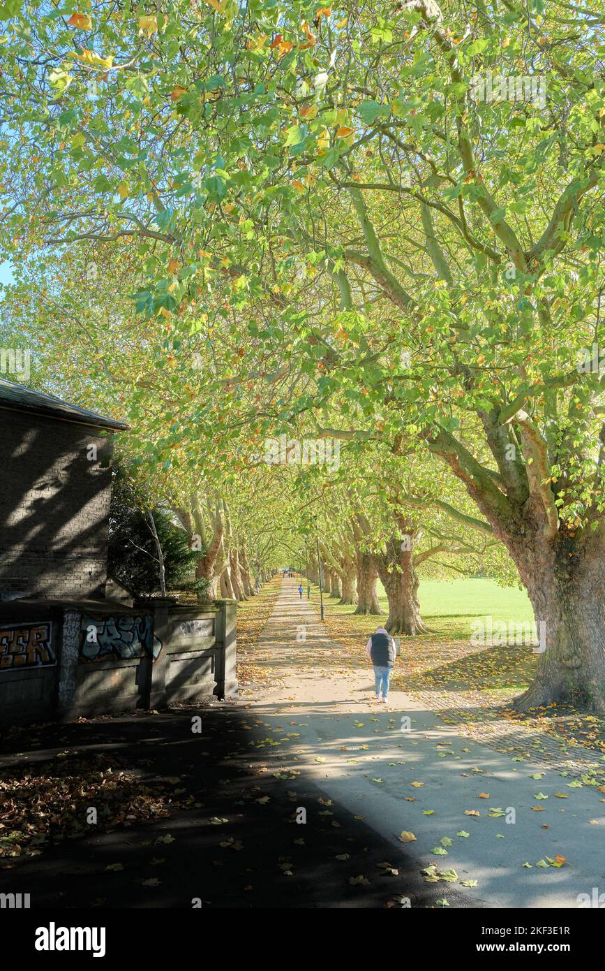 Jesus green open space cambridge england path trees park colours hi-res ...