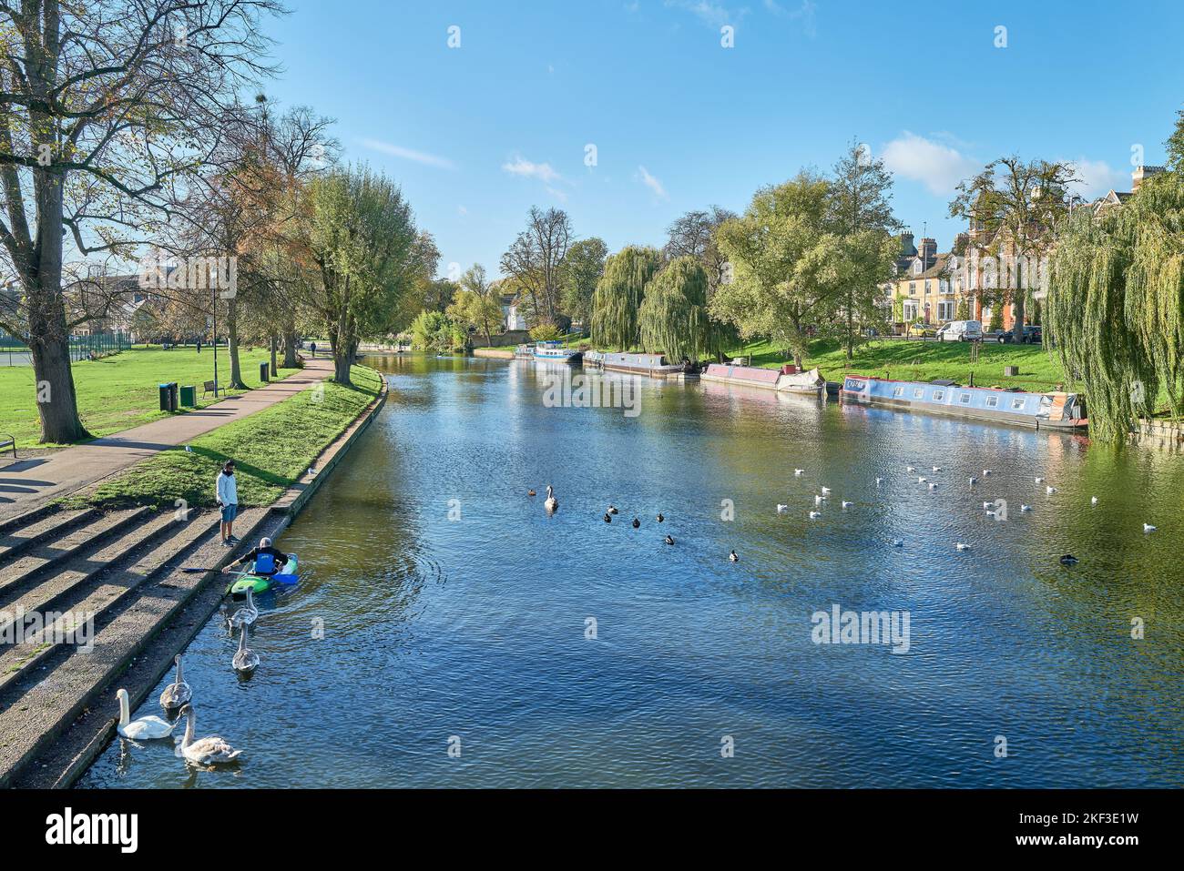 River cam jesus green cambridge england canoe swans birds narrow hi-res ...