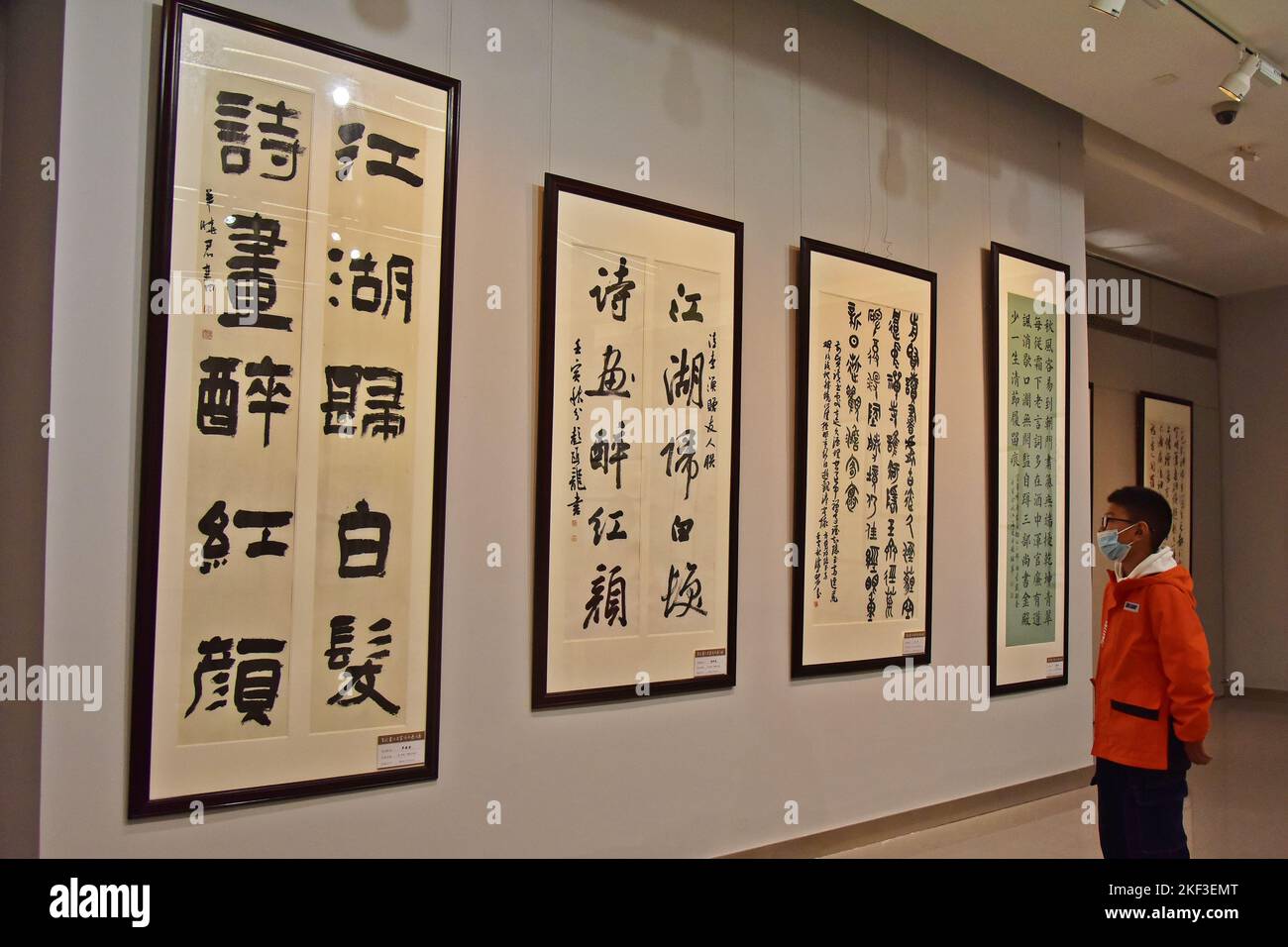 Visitors are appreciating the Chinese calligraphy works in the National ...