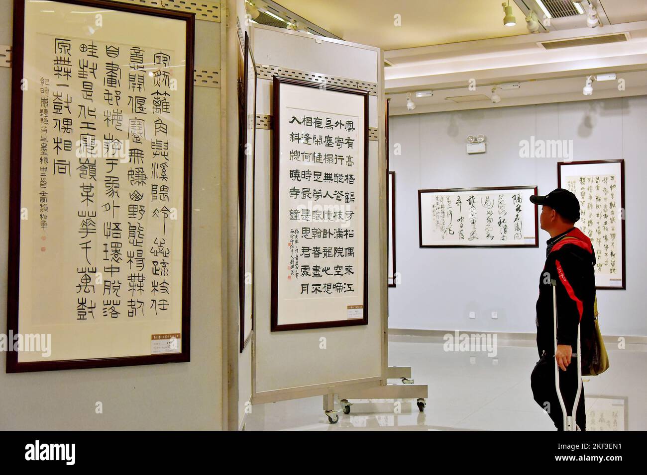 Visitors are appreciating the Chinese calligraphy works in the National ...