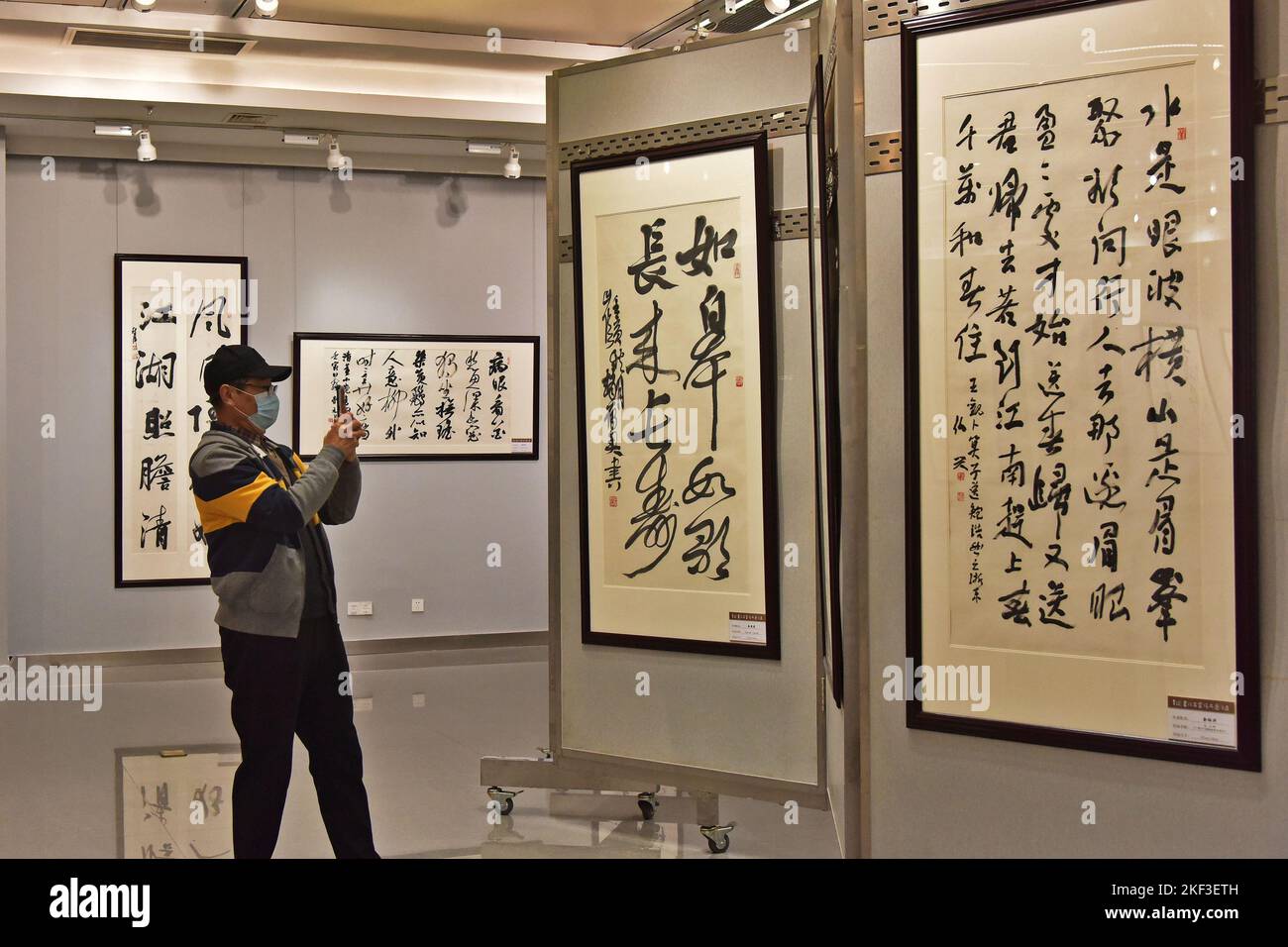 Visitors are appreciating the Chinese calligraphy works in the National ...