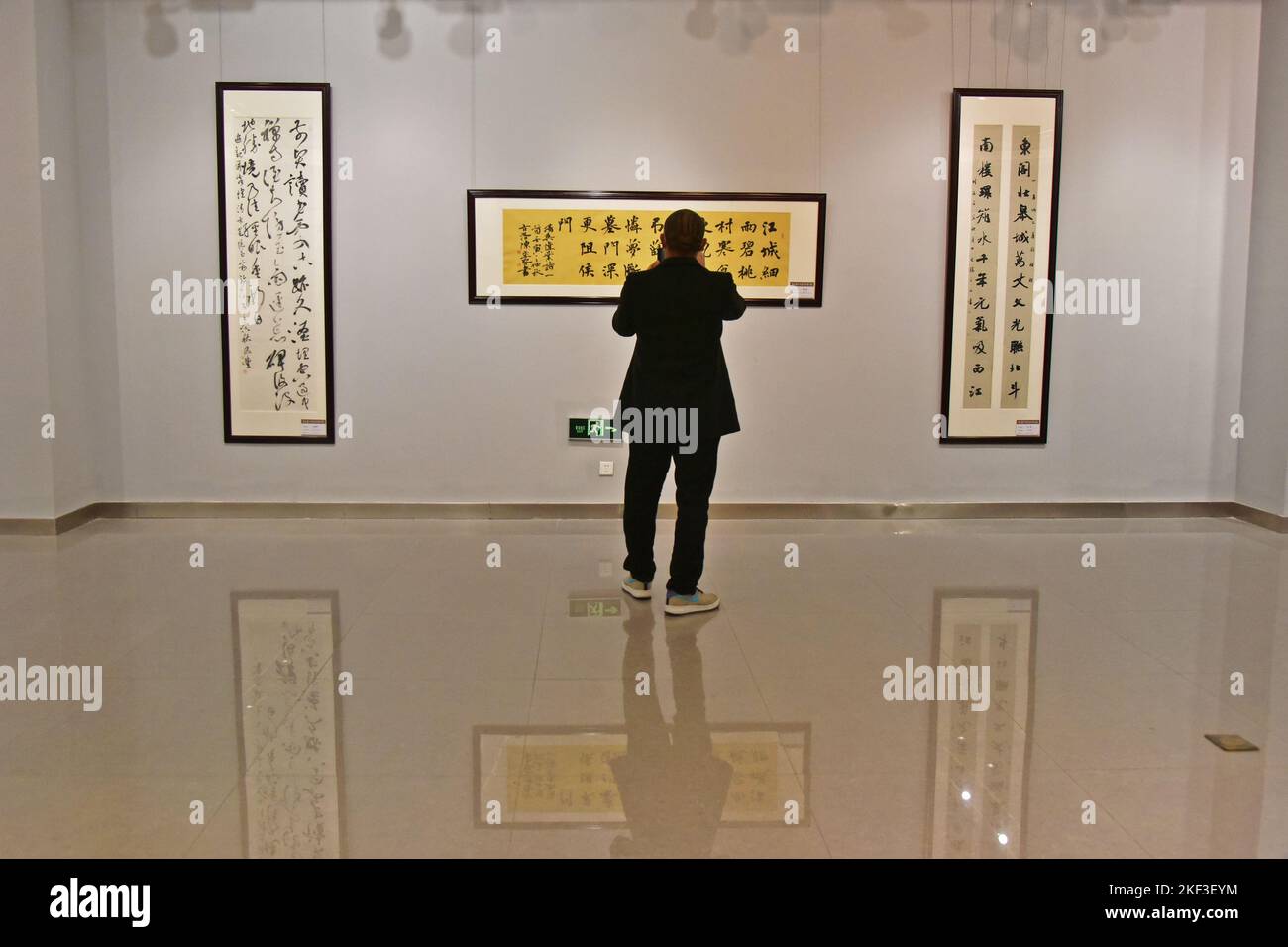 Visitors are appreciating the Chinese calligraphy works in the National ...