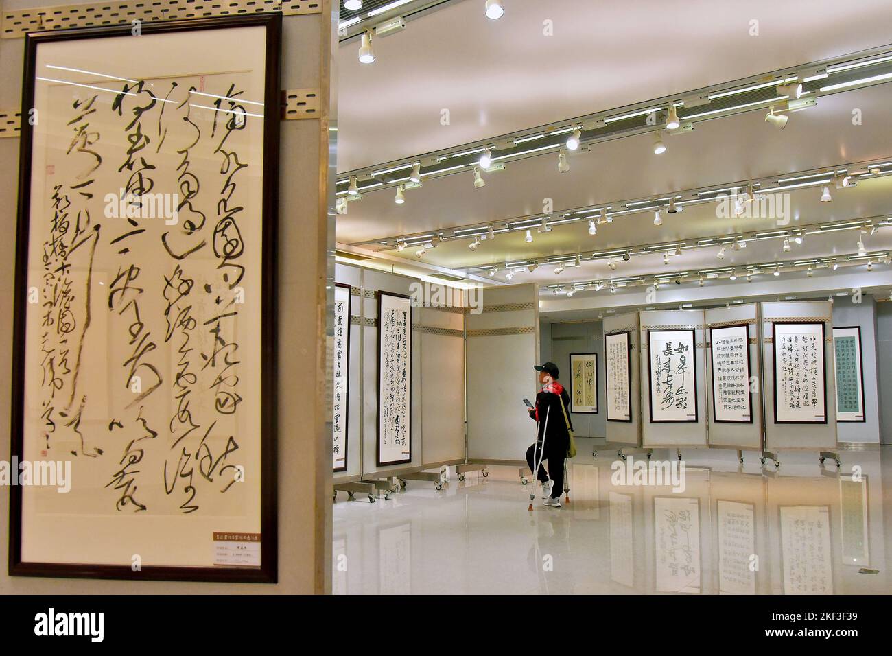 Visitors are appreciating the Chinese calligraphy works in the National ...