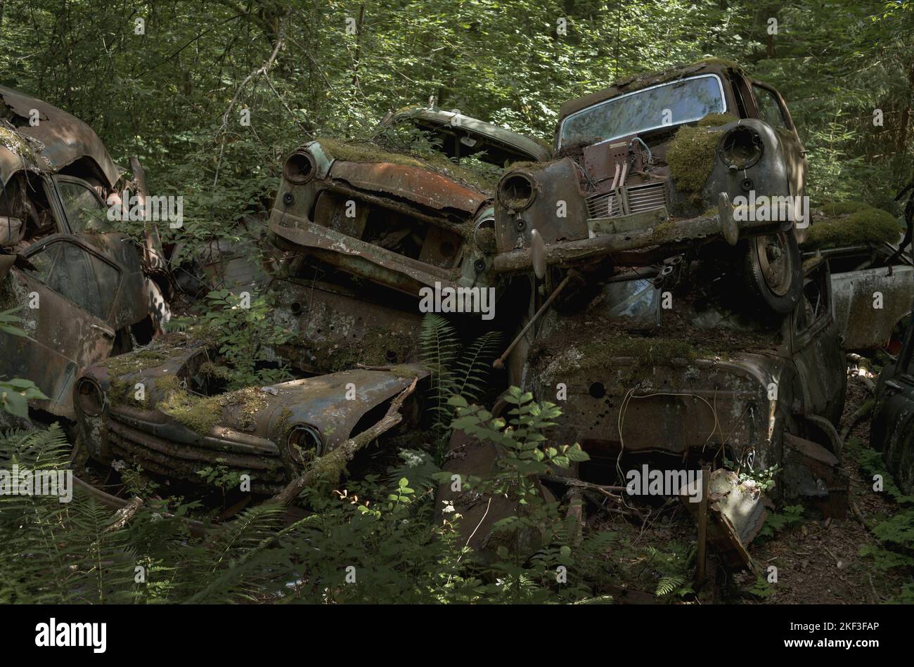 Stack of abandoned cars in forest Stock Photo - Alamy