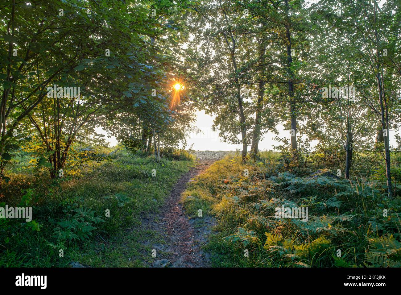 Astrike hi-res stock photography and images - Alamy