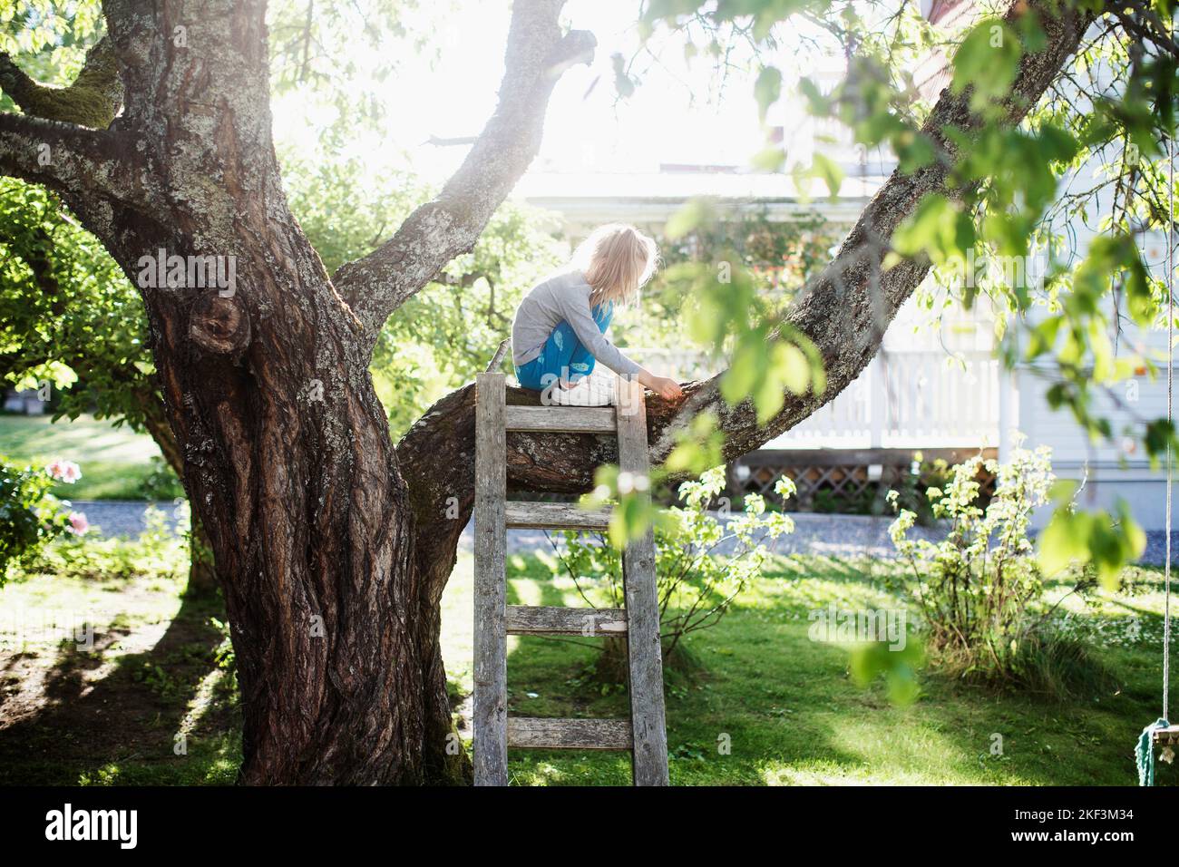 Child sitting on tree branch hi-res stock photography and images - Alamy