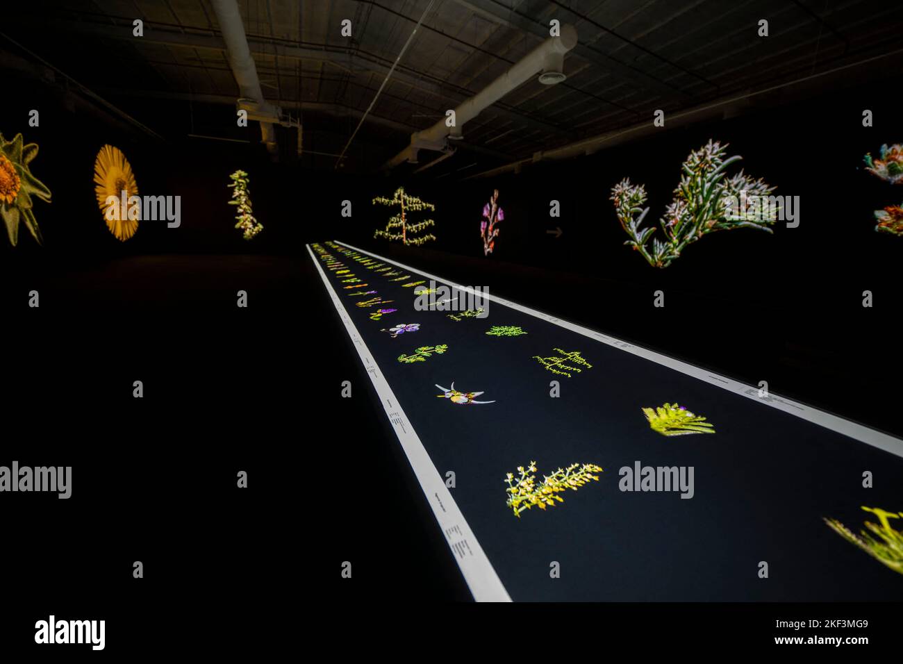 « The LINE » exposition by NEOM in Riyadh, Saudi Arabia on November 15 ...