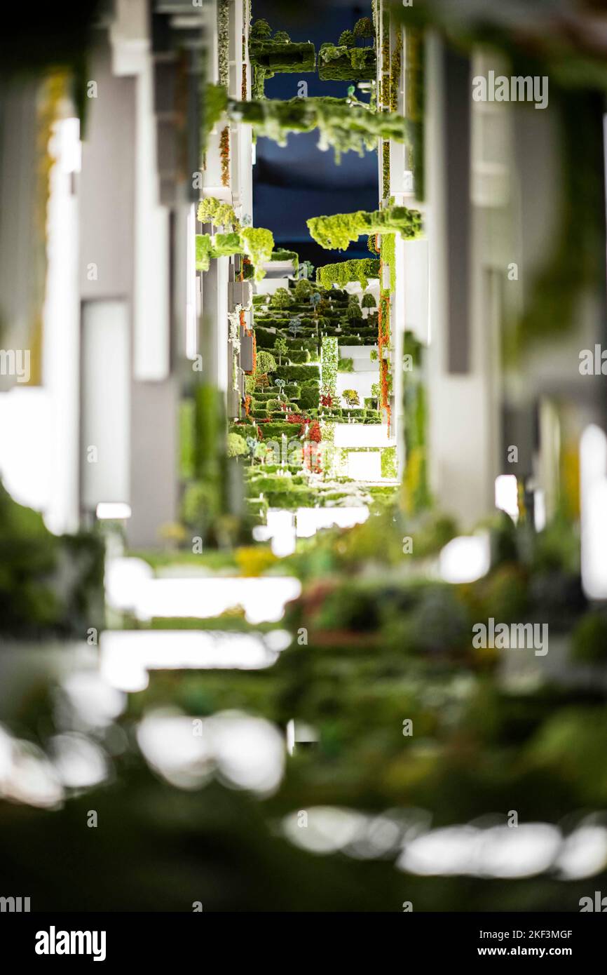 « The LINE » exposition by NEOM in Riyadh, Saudi Arabia on November 15 ...