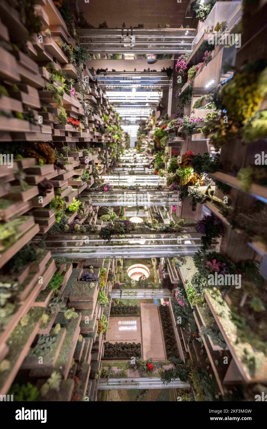 Neom the line hi-res stock photography and images - Alamy