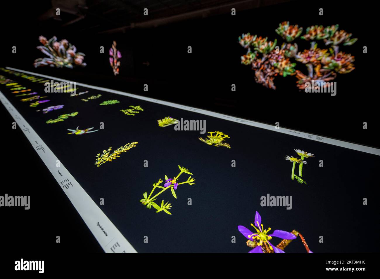 « The LINE » exposition by NEOM in Riyadh, Saudi Arabia on November 15 ...