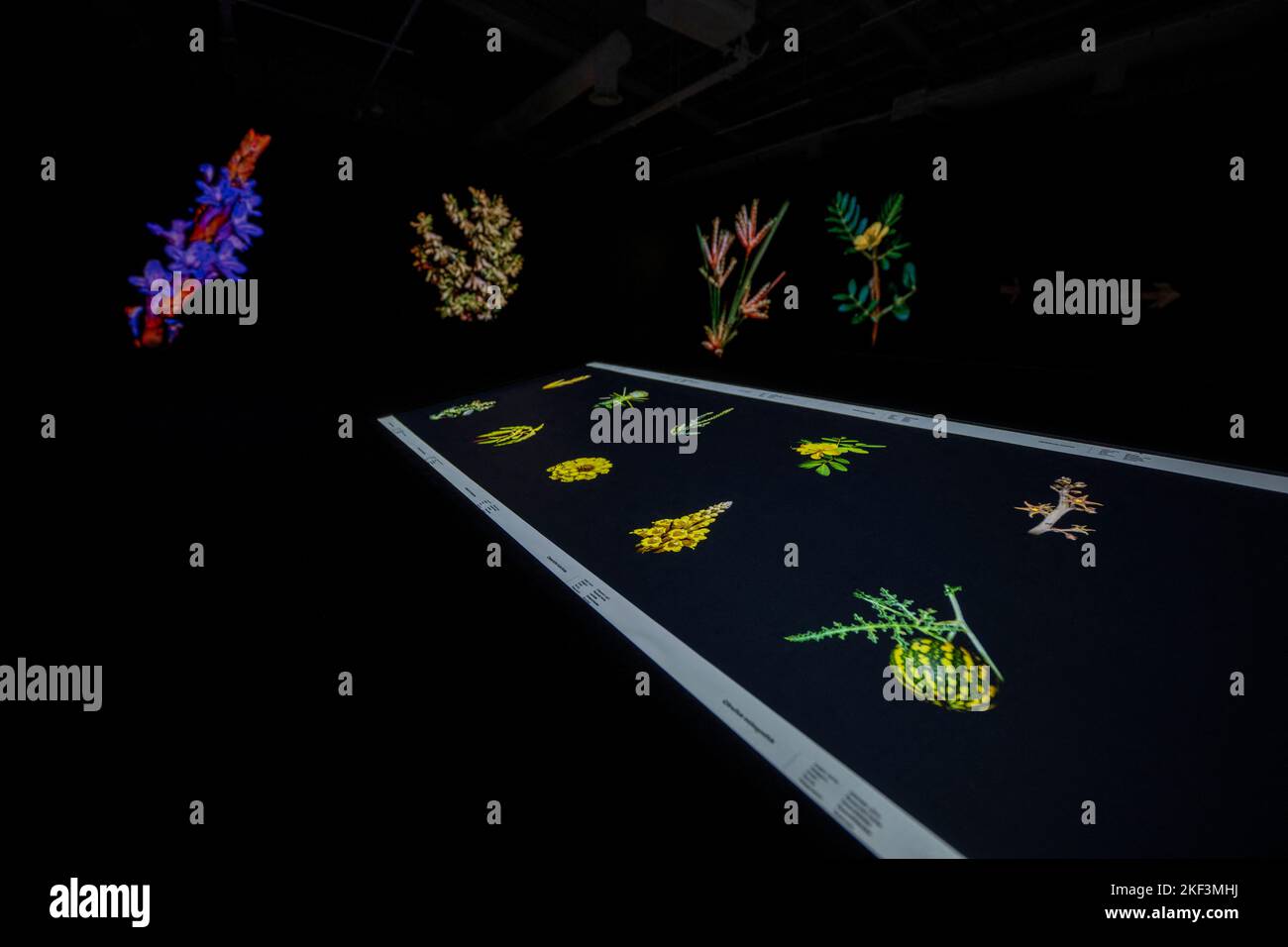 « The LINE » exposition by NEOM in Riyadh, Saudi Arabia on November 15 ...