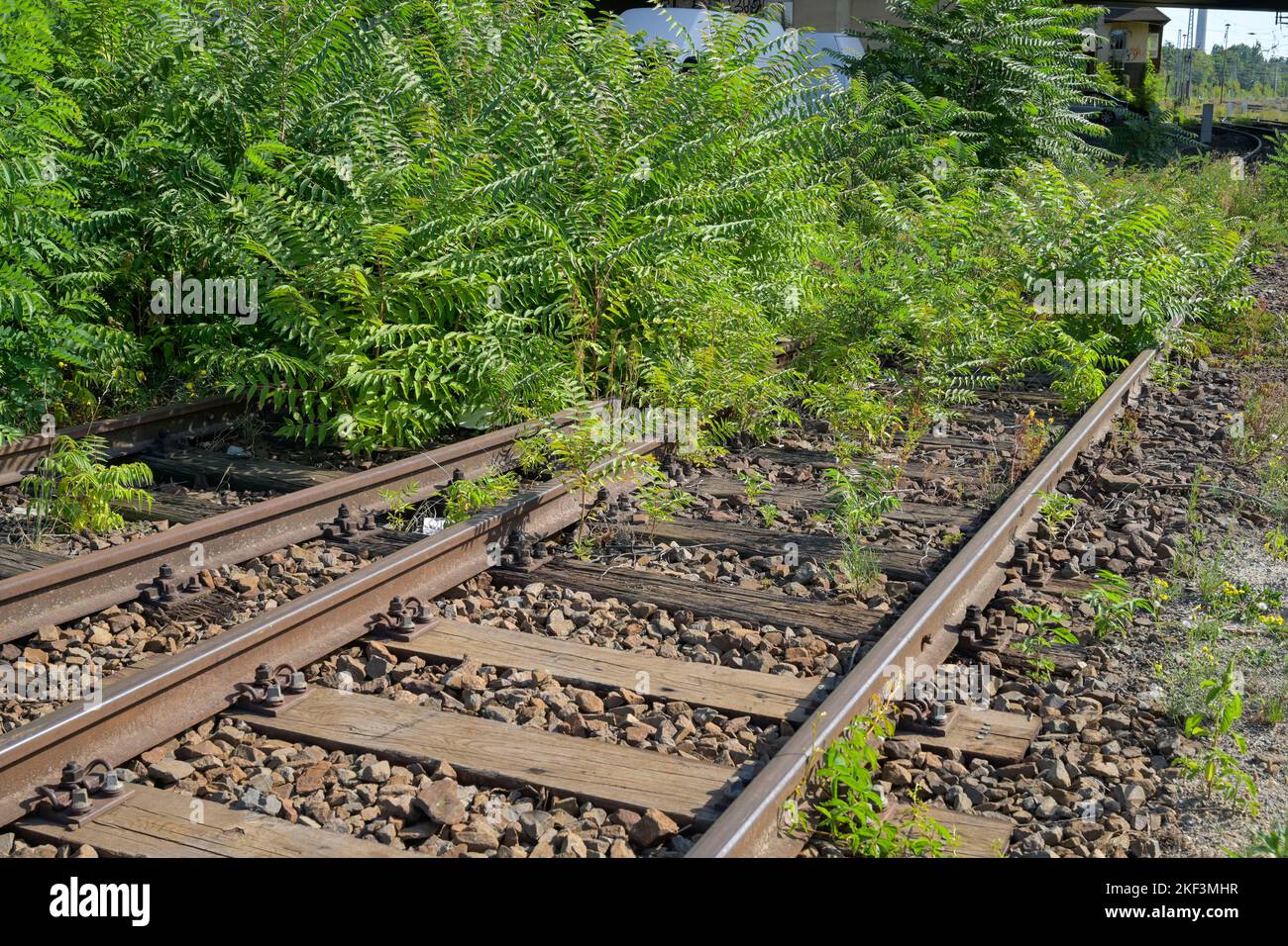 Gleis schienen hi-res stock photography and images - Alamy