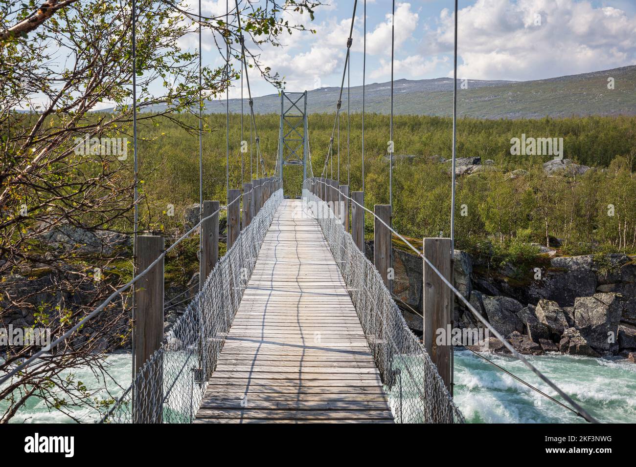 Tree connection river architecture hi-res stock photography and images ...