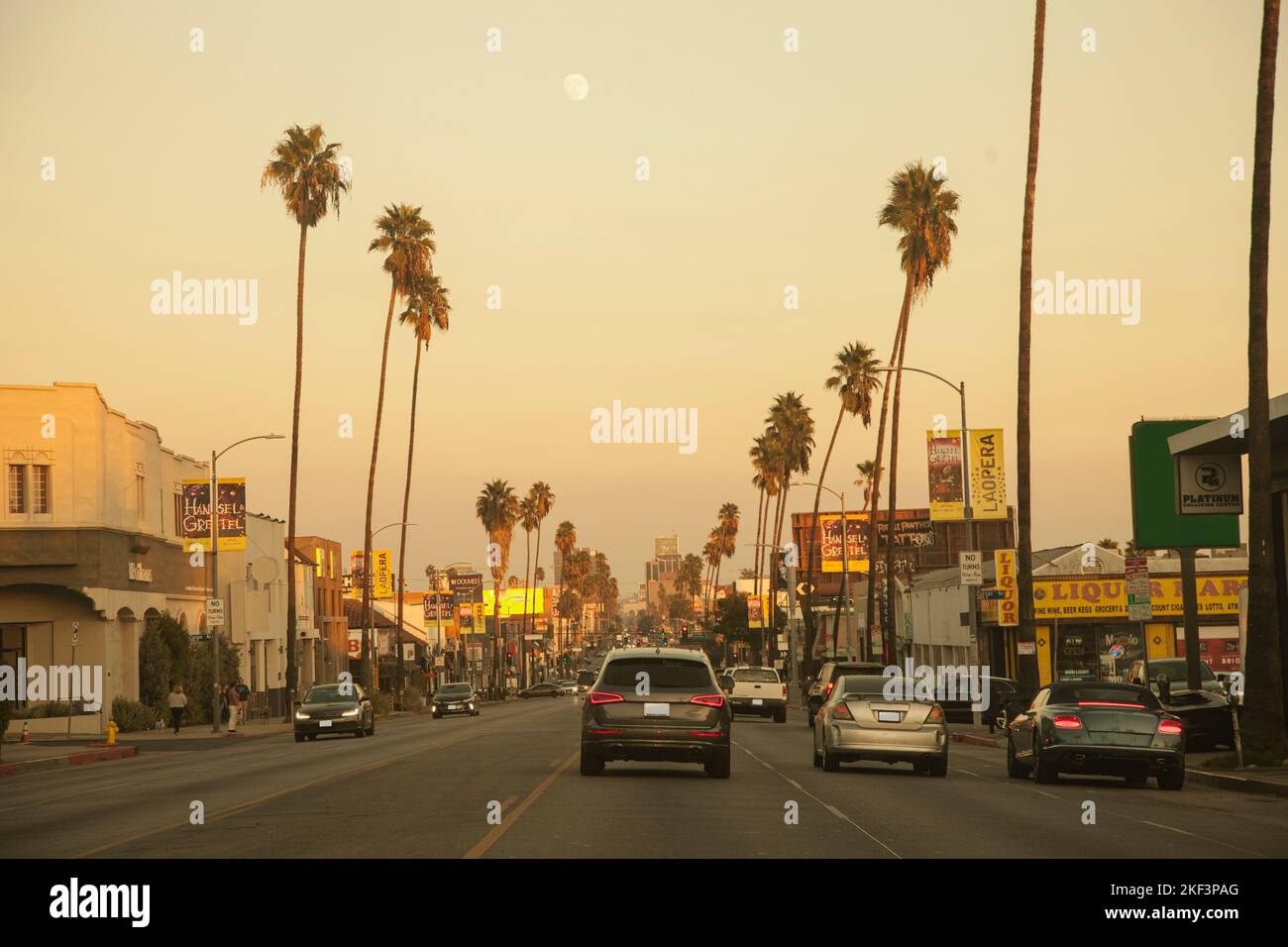Palm trees above cars driving on road Stock Photo - Alamy