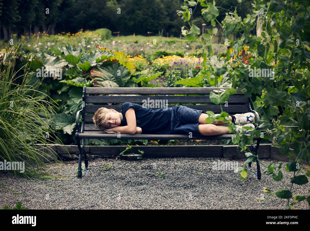 Boy sleeping on park bench hi-res stock photography and images - Alamy