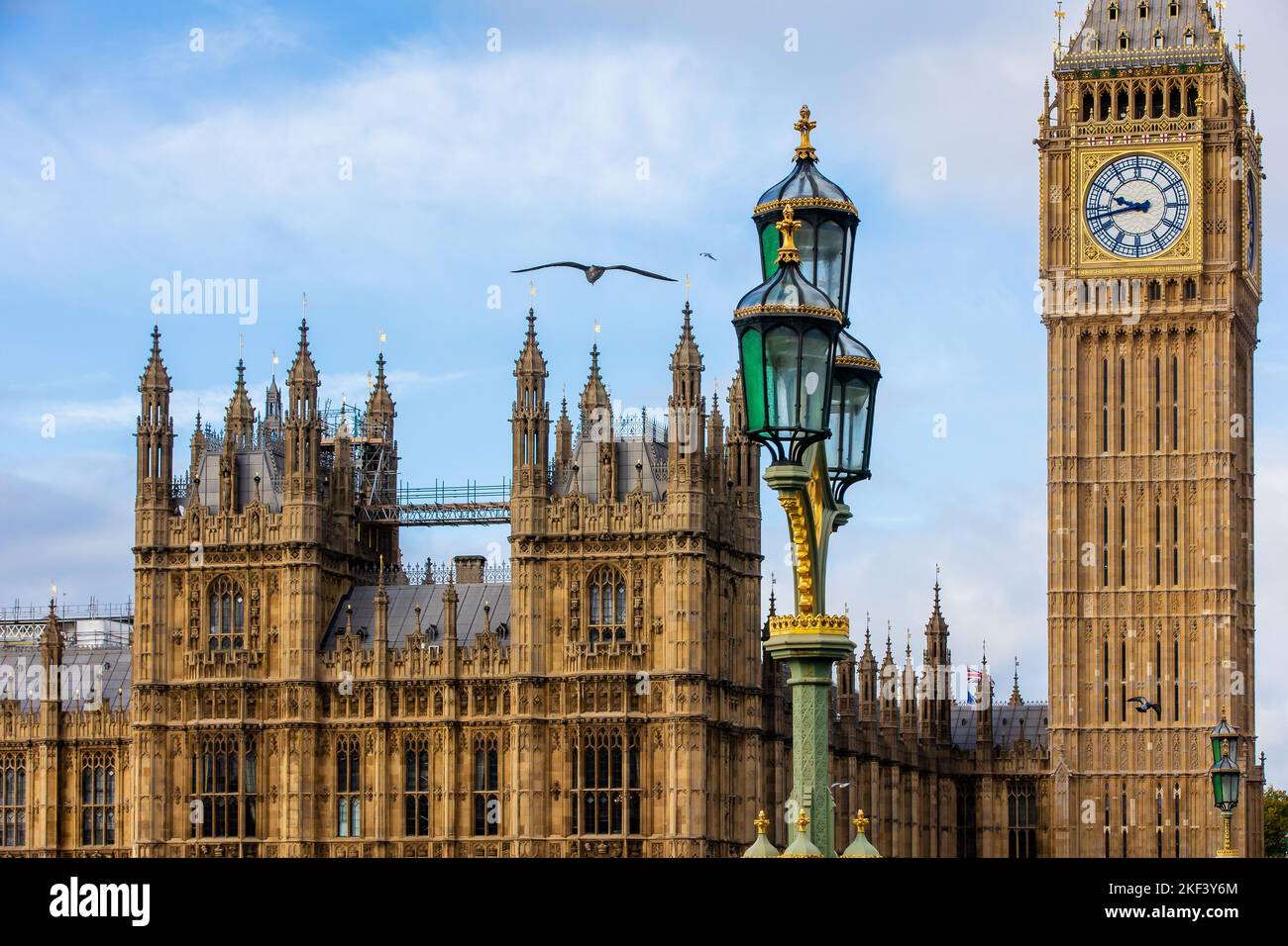 Bird flying in front of the Palace of Westminster and the Big Ben in ...